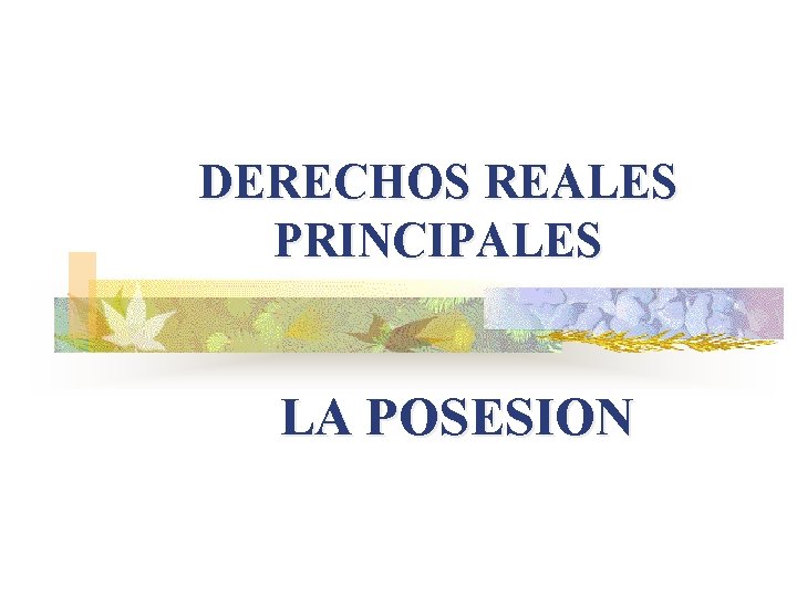 DERECHOS REALES PRINCIPALES LA POSESION TEORIAS POSESORIAS n