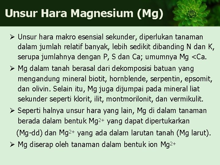 MK Kesuburan Tanah Pemupukan Pertemuan KeVIII KALSIUM MAGNESIUM