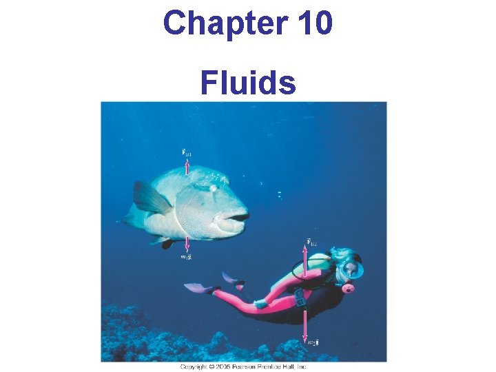 Chapter 10 Fluids Units of Chapter 10 Phases