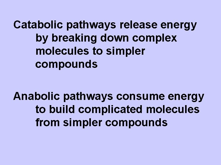 Chapter 8 An Introduction to Metabolism Metabolism Energy