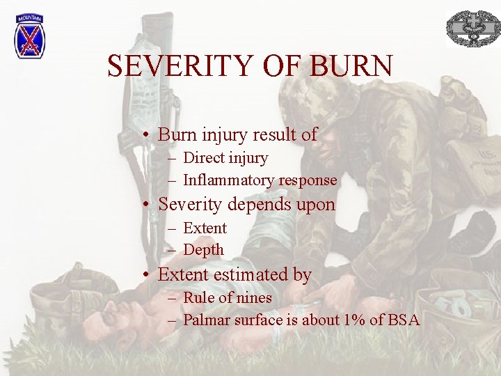 BURNS War Wounds Blast Burn Fragmentati OVERVIEW Structure