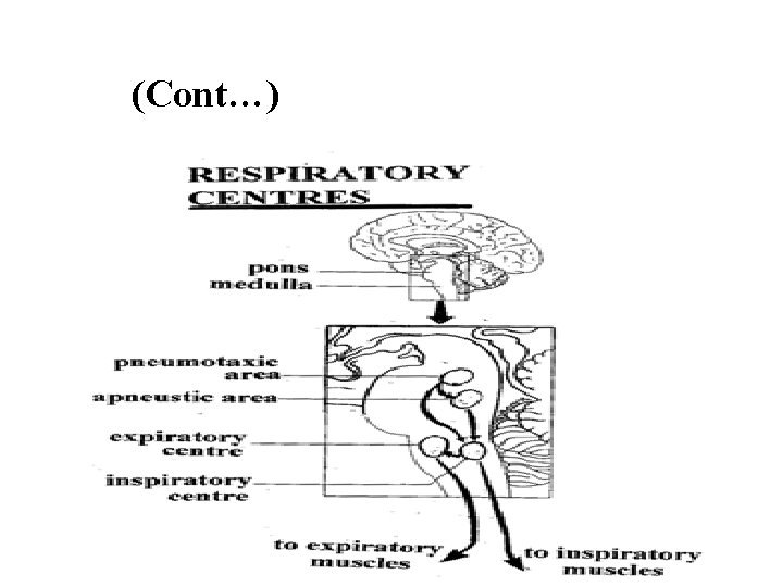 BIOMEDICAL INSTRUMENTATION Unit III Title NONELECTRICAL PARAMETER ...