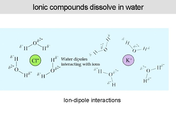 WATER THE SOLVENT FOR BIOCHEMICAL REACTIONS The structure