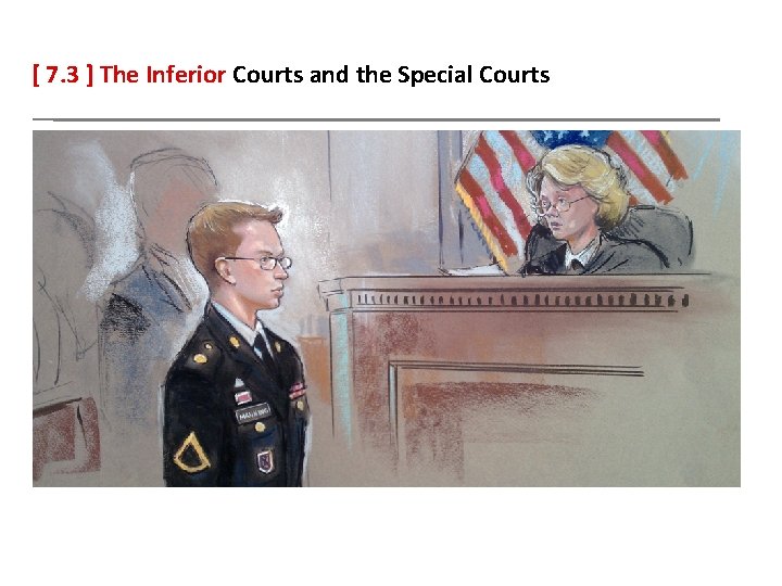 7 3 The Inferior Courts and the Special