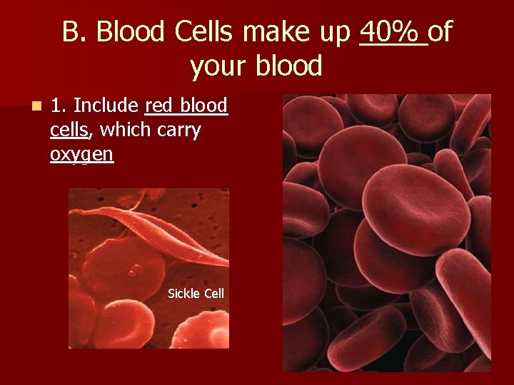 The Circulatory System I The cardiovascular system n