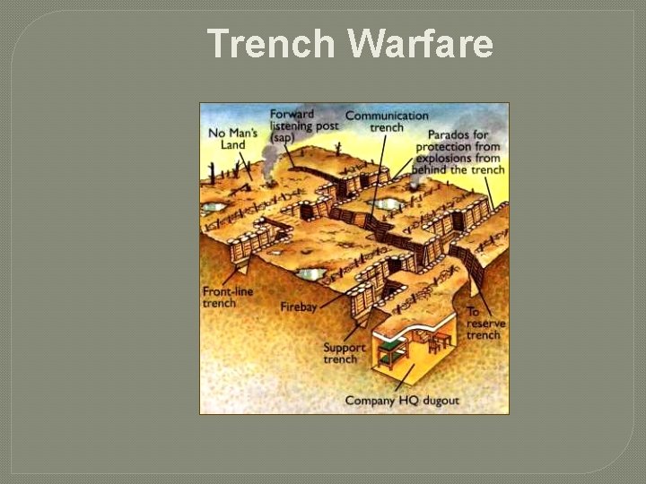 World War I 1914 1918 In the early