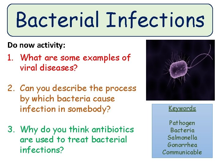 Bacterial Infections Do now activity 1 What are