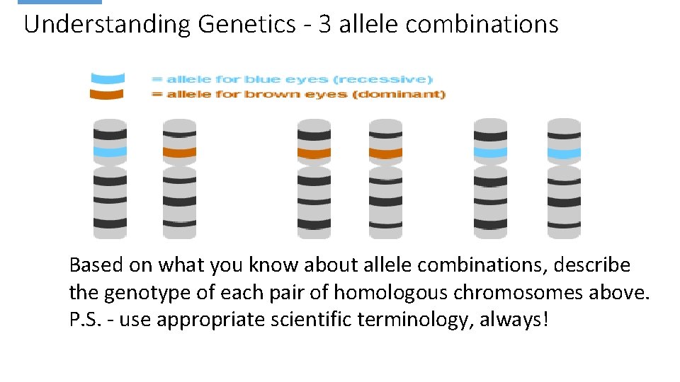 Mendelian Genetics Part 1 Lesson Number 2 Bell