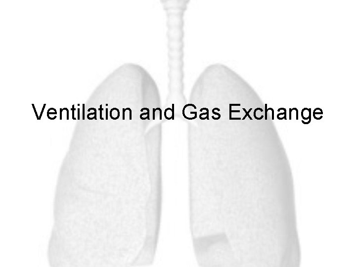 Ventilation and Gas Exchange This photo courtesy of