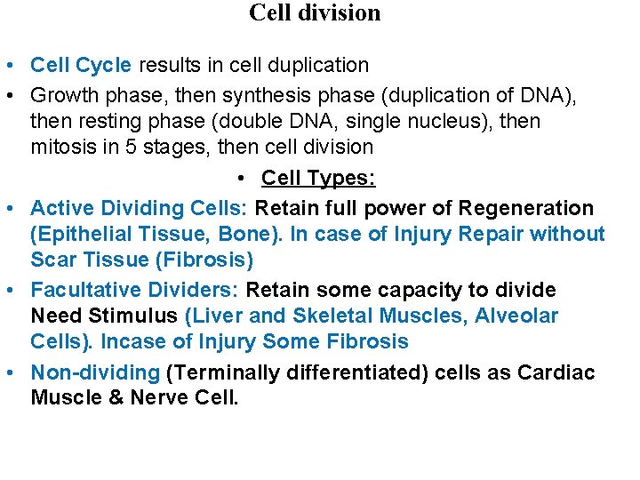 Cell division Cell Cycle results in cell duplication