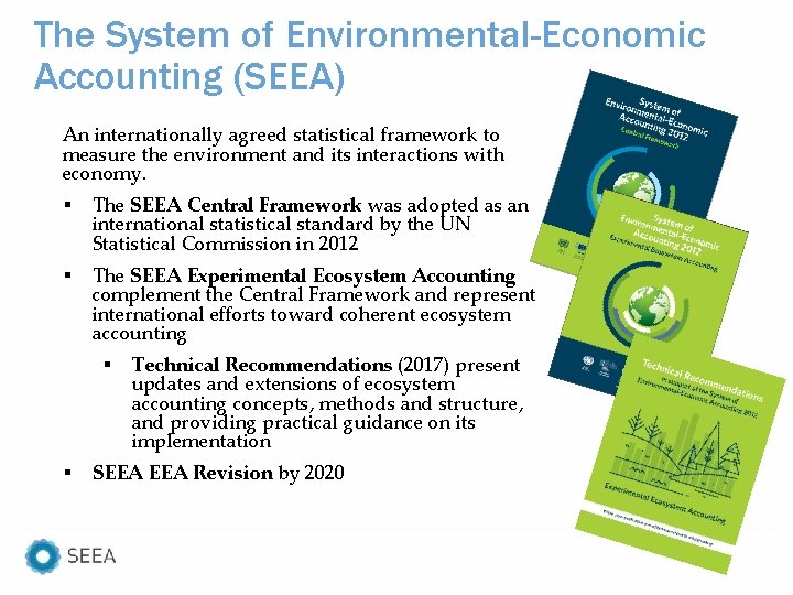 Natural Capital Accounting Connecting the Pillars of Sustainability