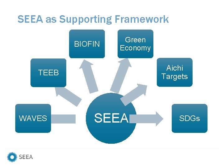 Natural Capital Accounting Connecting the Pillars of Sustainability