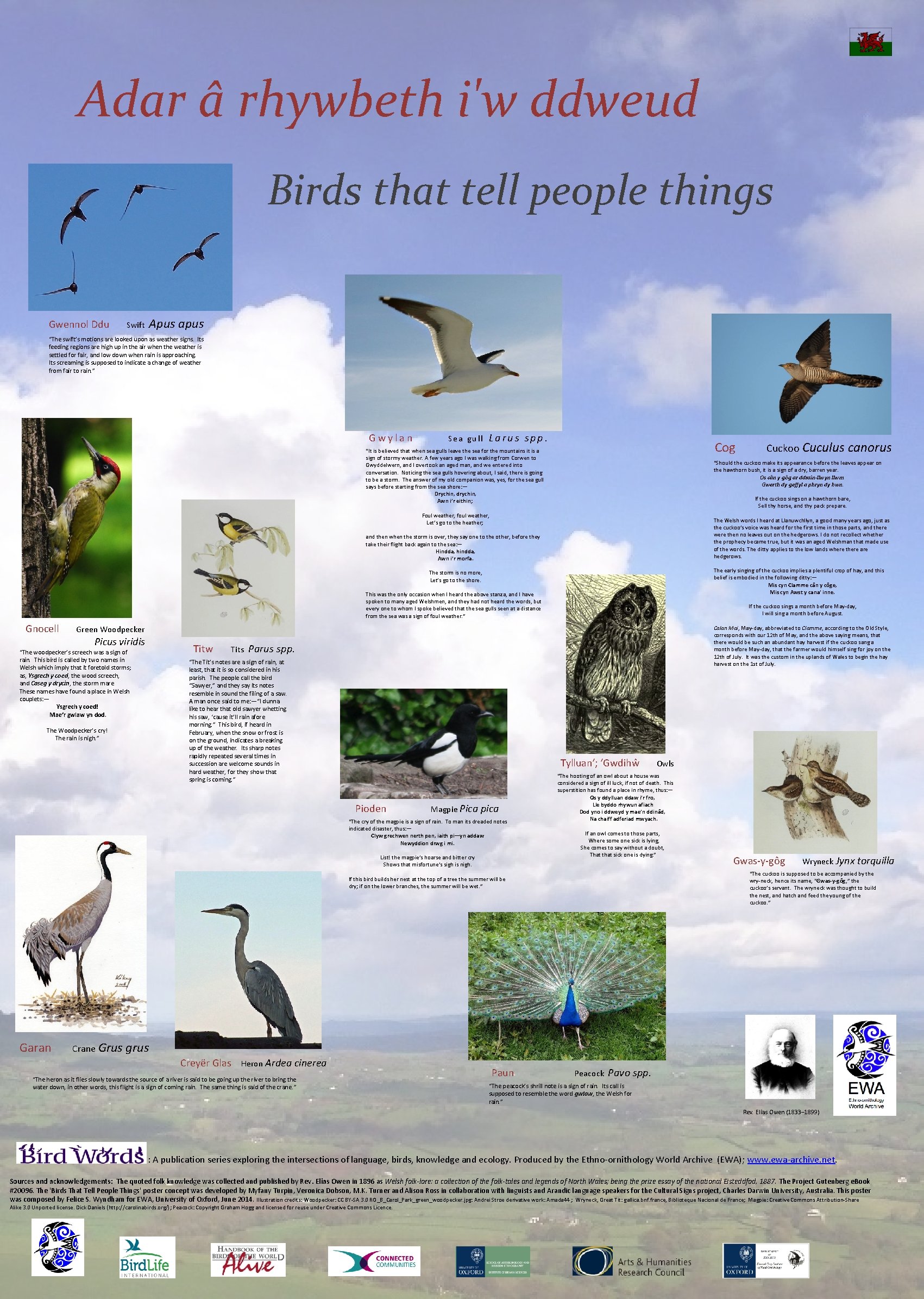 Adar rhywbeth iw ddweud Birds that tell people