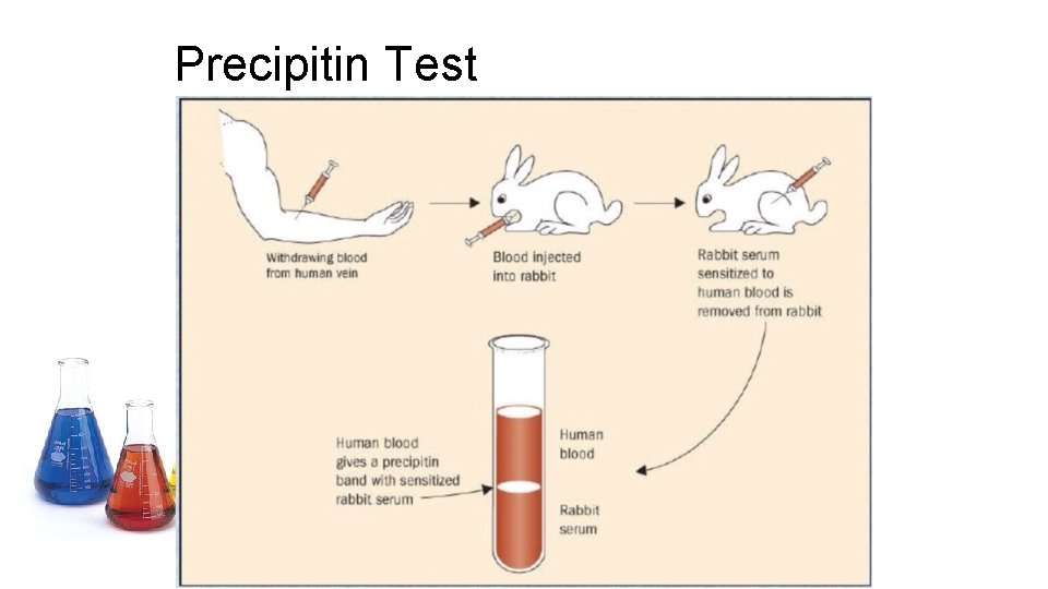 8 3 Forensic Characterization of Bloodstains Unit 8