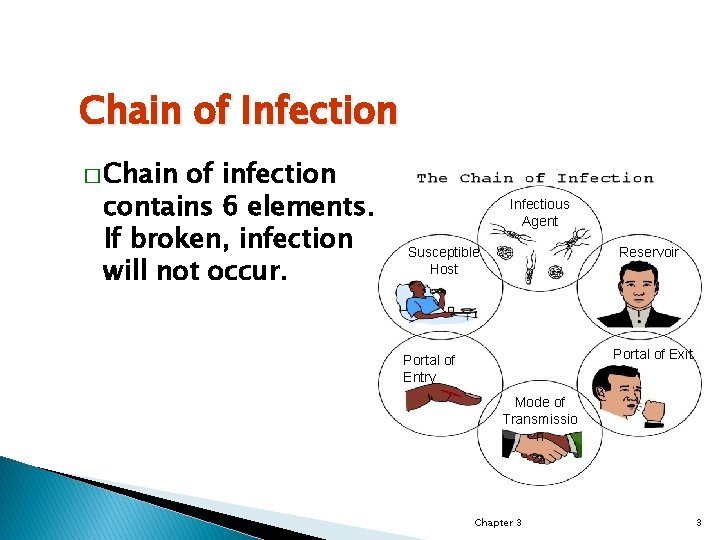 Chain of Infection Adapted by Dana Cashion HS