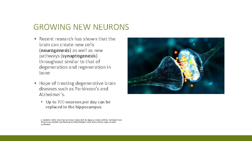 DR BEN GALYARDT Dr Galyardt is owner of