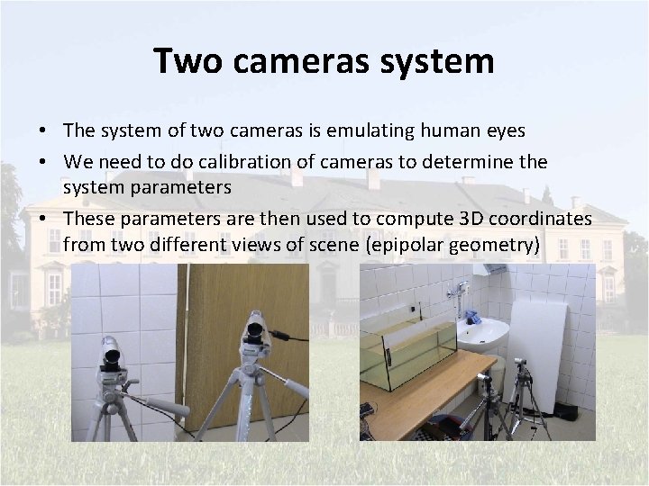 Fish position determination in 3 D space by