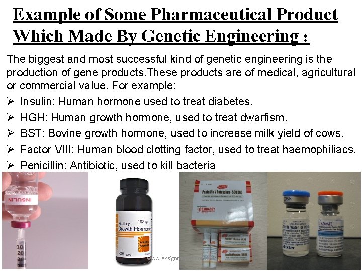 Presentation On Pharmaceutical Product Made By www assignmentpoint