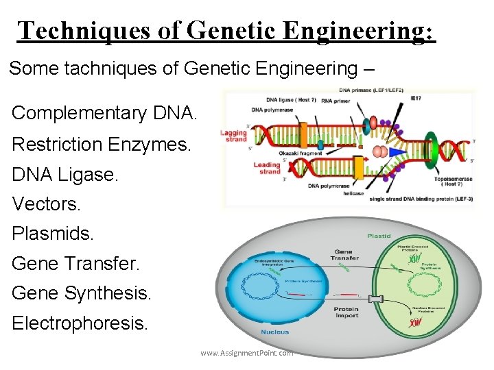 Presentation On Pharmaceutical Product Made By www assignmentpoint