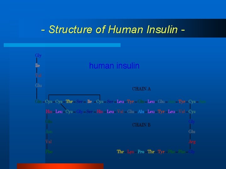 The Wonderful Hormone INSULIN By Jeremy Wynn Cell