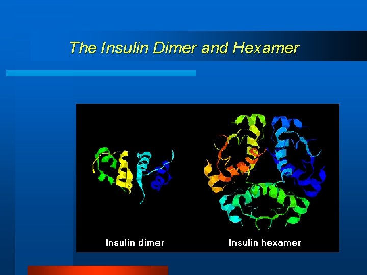 The Wonderful Hormone INSULIN By Jeremy Wynn Cell
