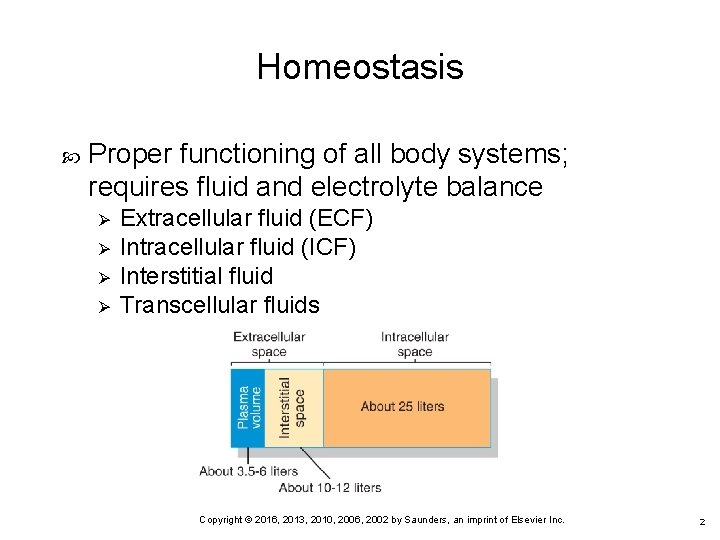Concept Basic Fluid and Electrolyte Balance Exemplar Fluid