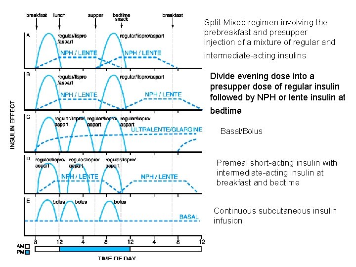 Diabetes Insulin and Hypoglycemic Agents Kurt Varner Ph