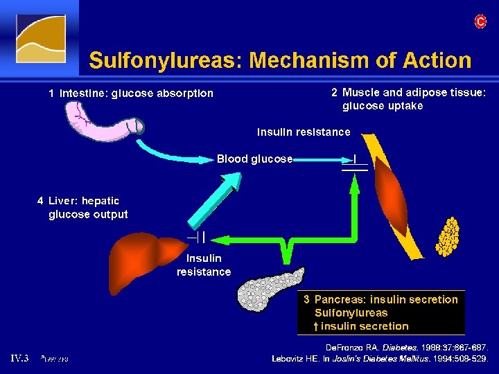 Diabetes Insulin and Hypoglycemic Agents Kurt Varner Ph