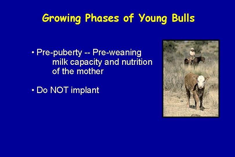 Why have a breeding season 1 To know