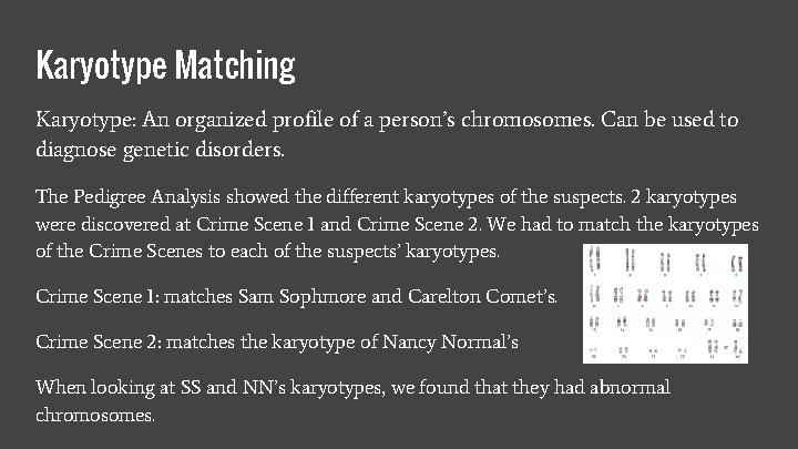 The Murder of Carelton Comet By Shauna Hannah