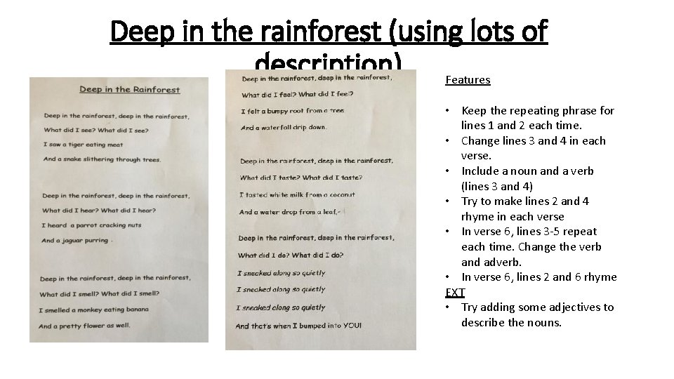 Rainforest Poems Pyramid Poems using adjectives Features Start