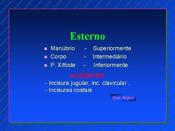 Sistema Esqueltico Conceito Dr Ronaldo A dos Anjos