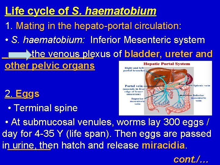 UGS MODULE Schistosomiasis Schistosoma haematobium By Prof Dr