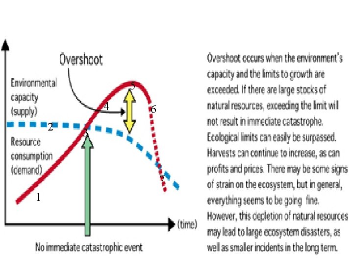Graphing Sustainability Draw the diagram on the first