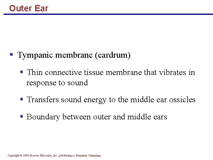 Power Point Lecture Slides prepared by Vince Austin