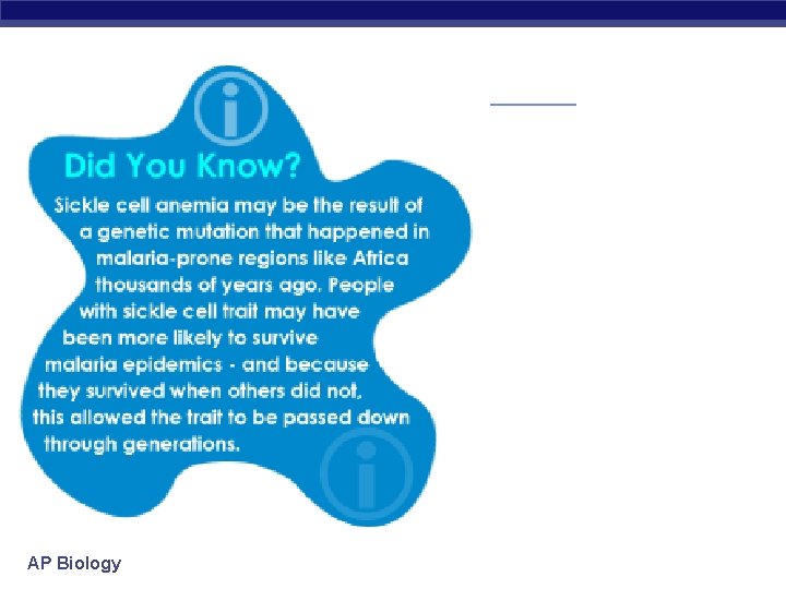 Mutations Unit 5 B 5 AP Biology n