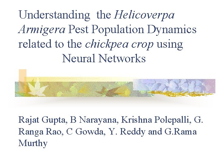 Understanding the Helicoverpa Armigera Pest Population Dynamics related