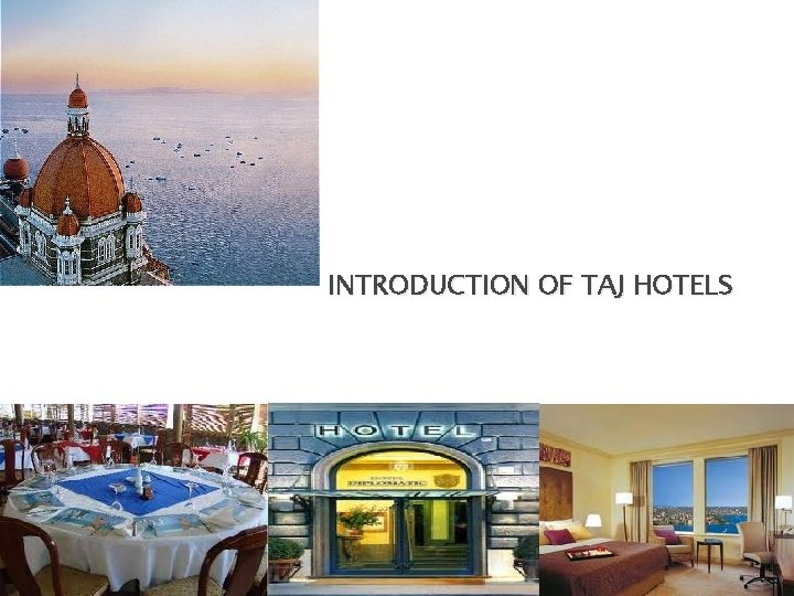 INTRODUCTION OF TAJ HOTELS CONTENT VIEW OF HOTEL