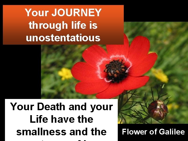 25 th during the year Cycle B With