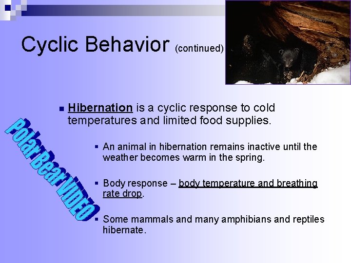 Behavioral Interactions Chapter 7 Section 2 Notes Social
