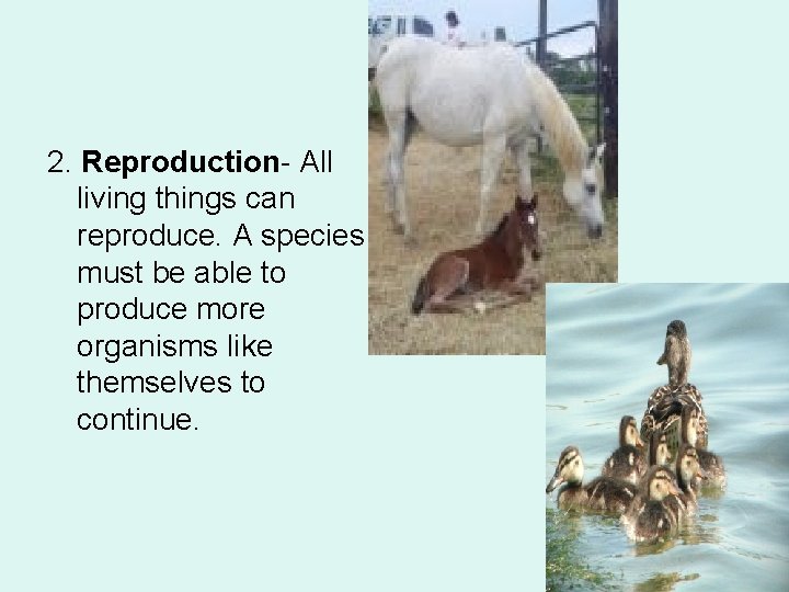 Chapter 1 Themes of Biology What is Biology