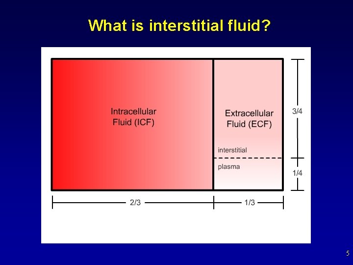 Brief overview of mammalian renal physiology Jason Williams