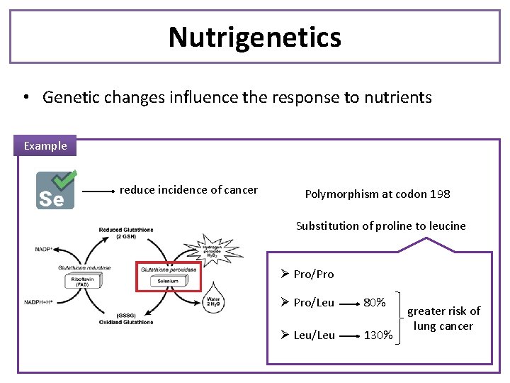 NUTRIGENOMICS Lorena Bouzas Alfonsn Advanced Genetics 2017 2018