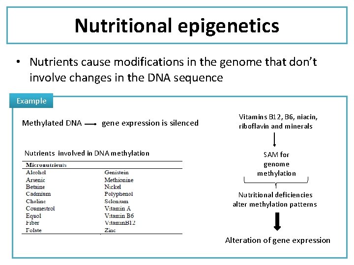 NUTRIGENOMICS Lorena Bouzas Alfonsn Advanced Genetics 2017 2018