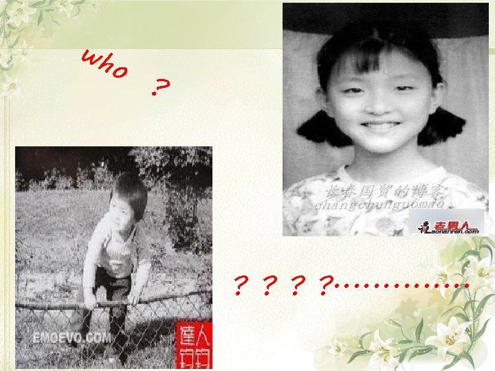 Successful LadyYang Lan Personal Introduction Yang Lan famous