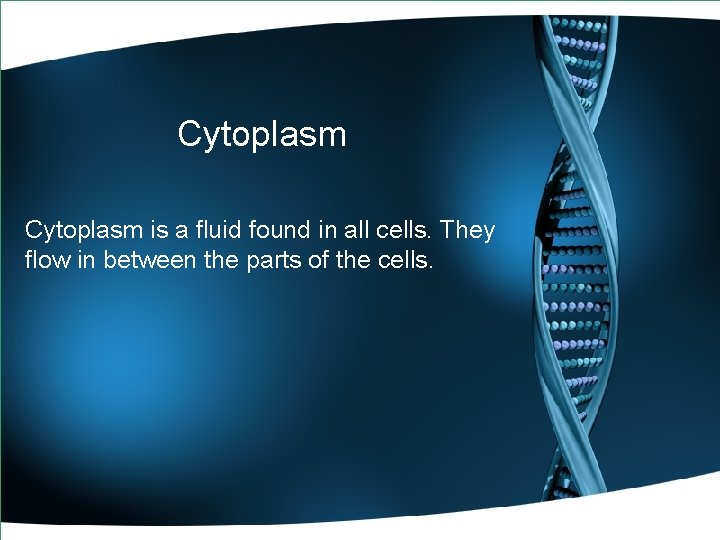 Cells and their Jobs By Lily Abolfathipour Nucleus