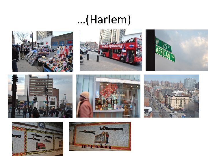 My Life in a Nutshell By Shantae Digtal