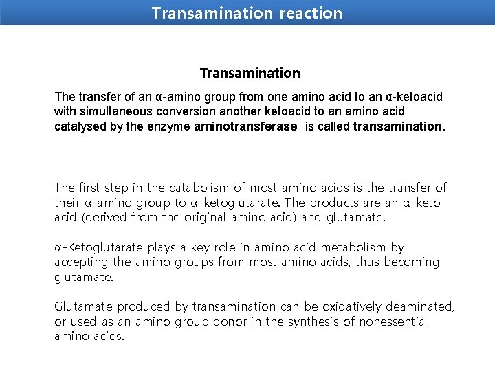 Protein Metabolism Introduction The amino acids the final