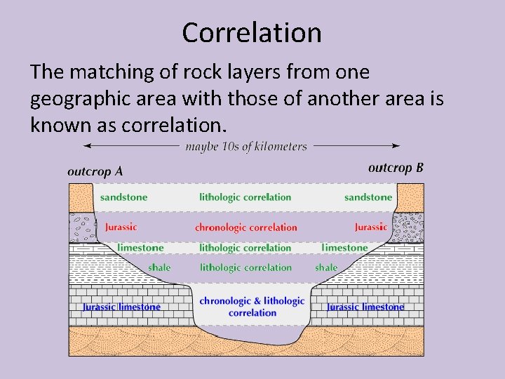 Chapter 21 Fossils the Rock Records Produced by