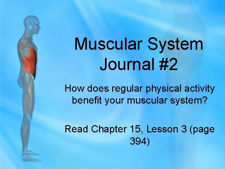 Muscular System Journal 2 How does regular physical